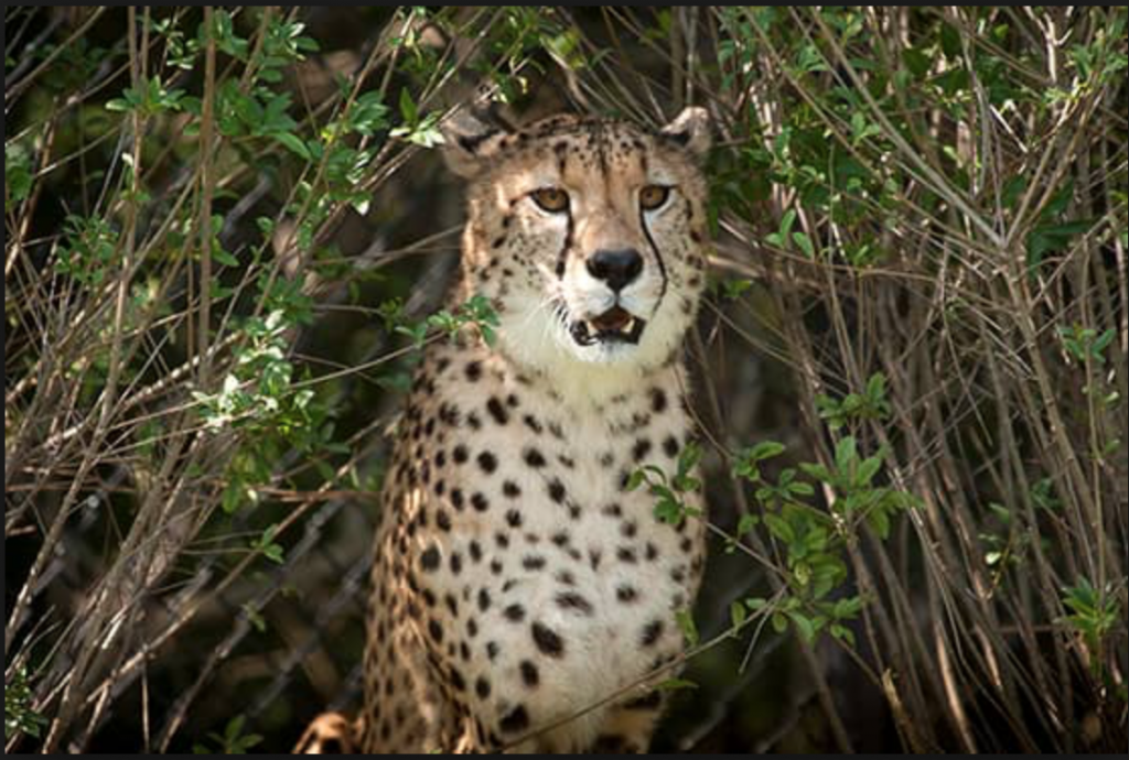Everything You Need To Know About Pittsburgh Zoo | TouristSecrets