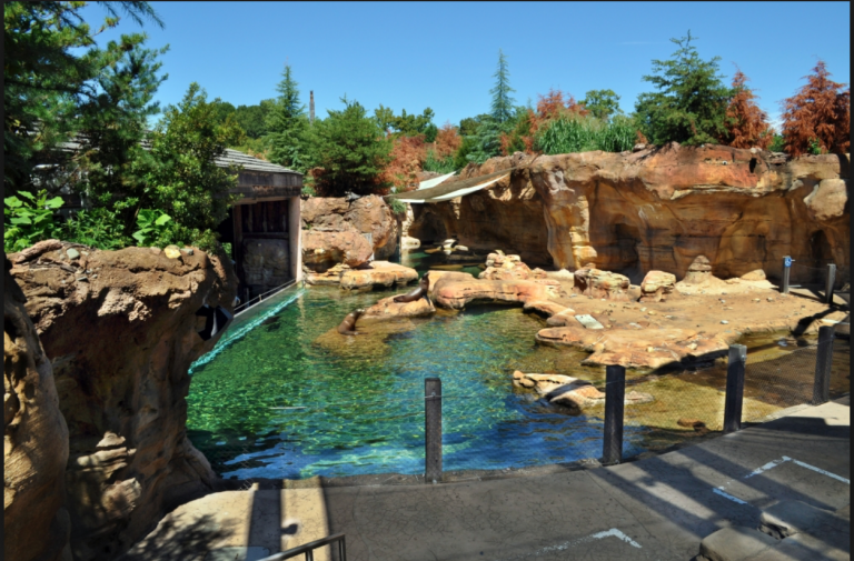 Everything You Need to Know About Memphis Zoo | TouristSecrets