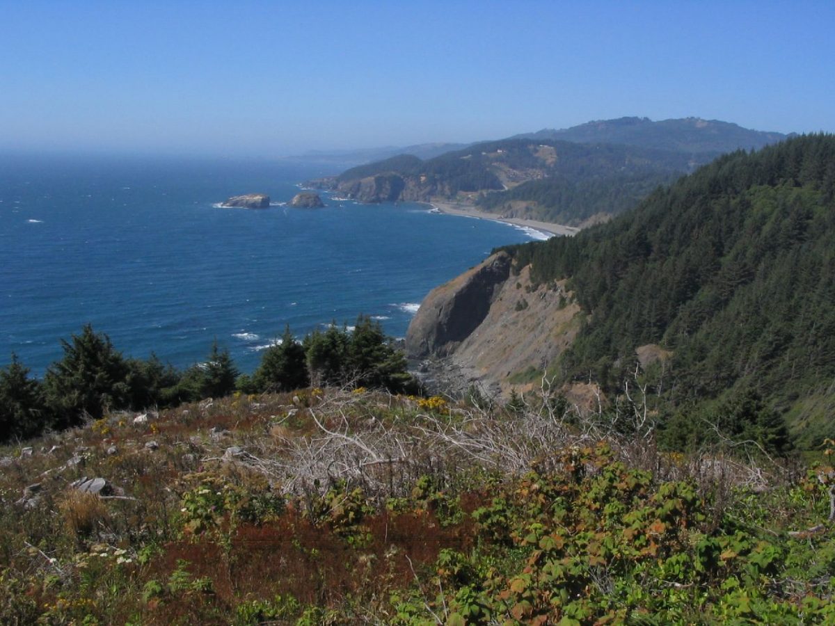 TouristSecrets | 12 Best Things To Do In Brookings, Oregon | TouristSecrets