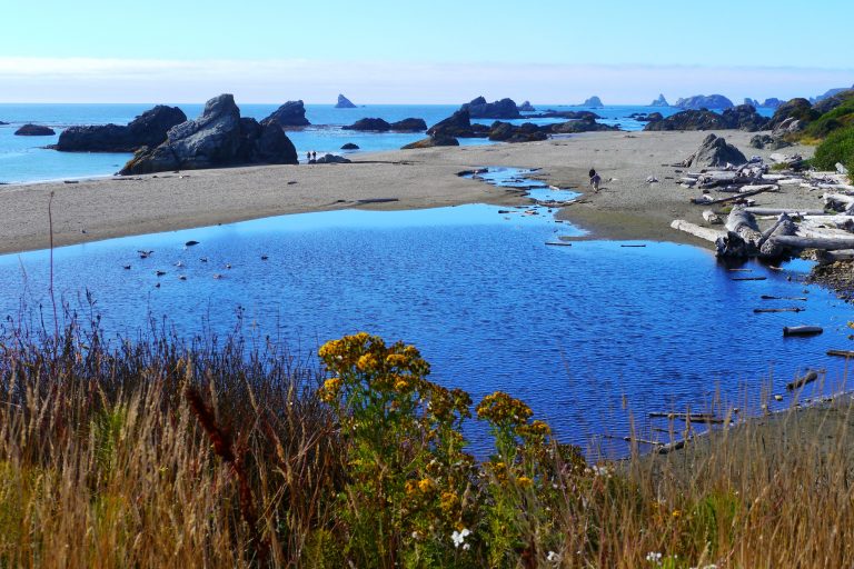 16 Best Things To Do In Brookings, Oregon | TouristSecrets