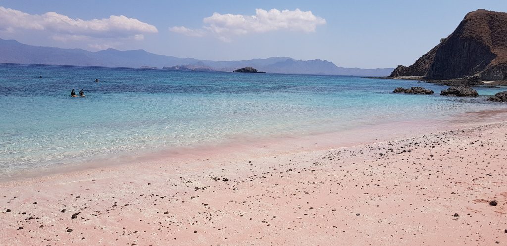 10 Best Pink Sand Beaches In The World | TouristSecrets