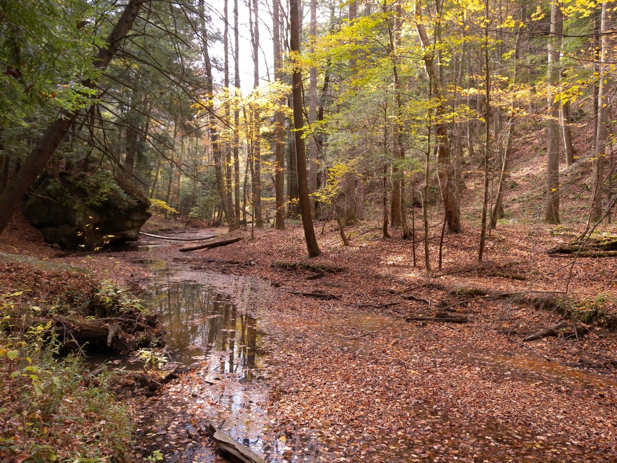 Top 10 Hiking Trails In The Ohio Wilderness | TouristSecrets