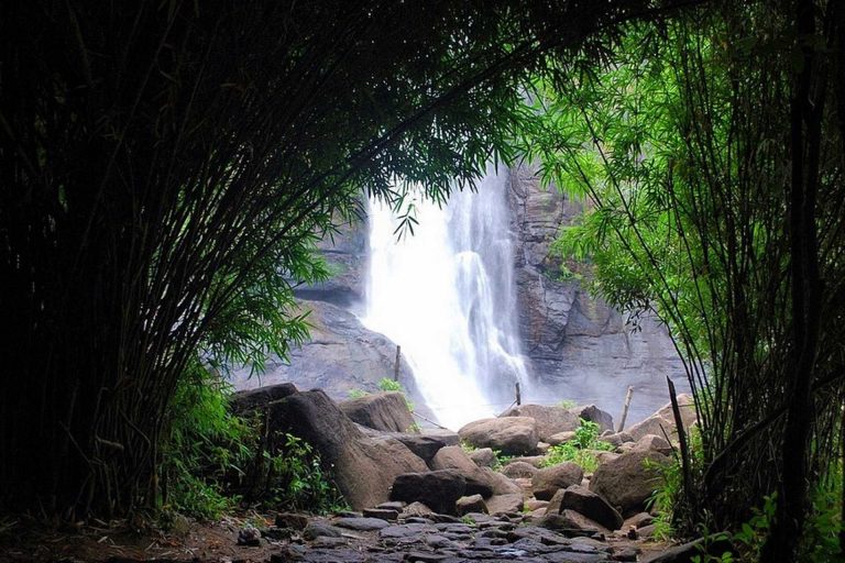 Your Guide To Kerala's Athirapally Waterfalls | TouristSecrets