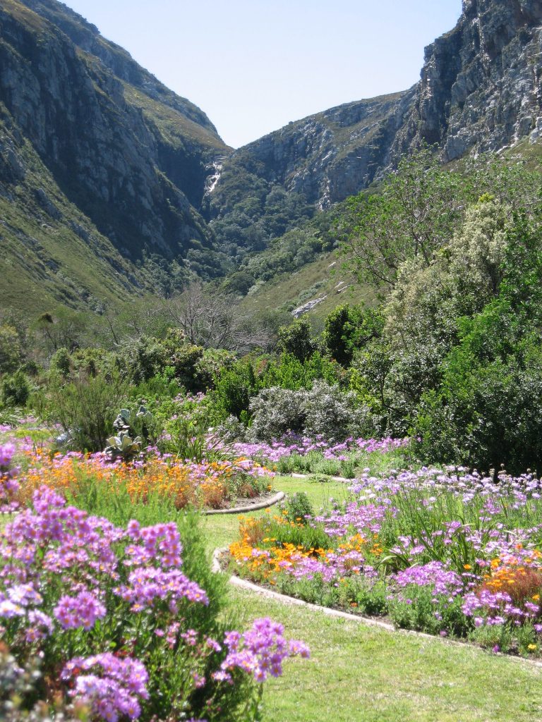 Gardens In South Africa That Everyone Must See | TouristSecrets
