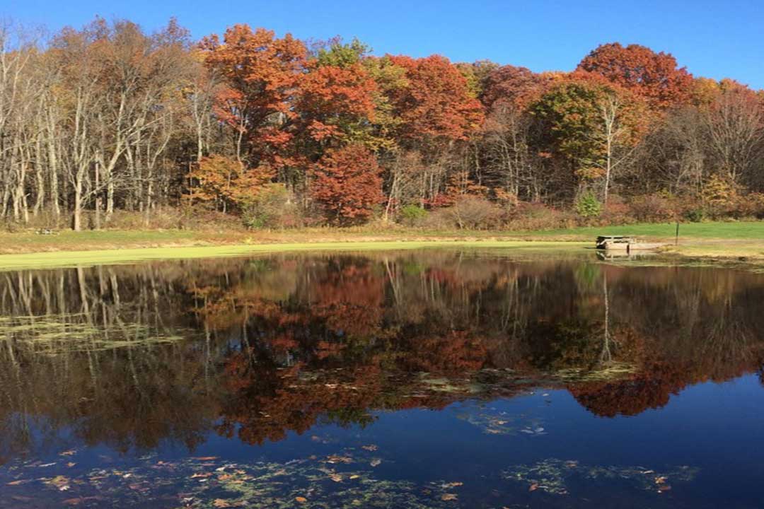 Top 10 Hiking Trails In The Ohio Wilderness | TouristSecrets