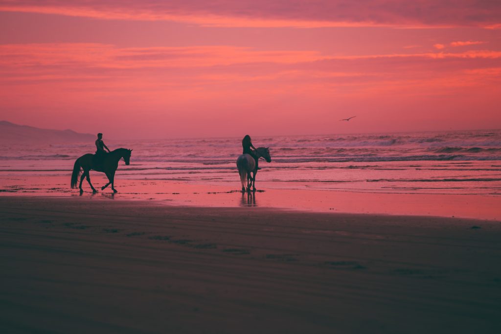 The Best Places To Go Horseback Riding In The US | TouristSecrets