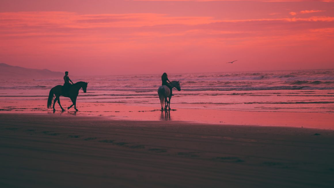 The Best Places To Go Horseback Riding In The US | TouristSecrets