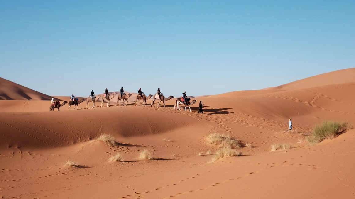 Ultimate Guide To The Lonely Kalahari Desert South Africa