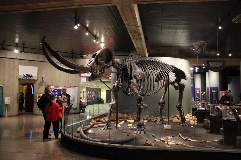 Top 10 Things To Do In Sandusky, Ohio | TouristSecrets