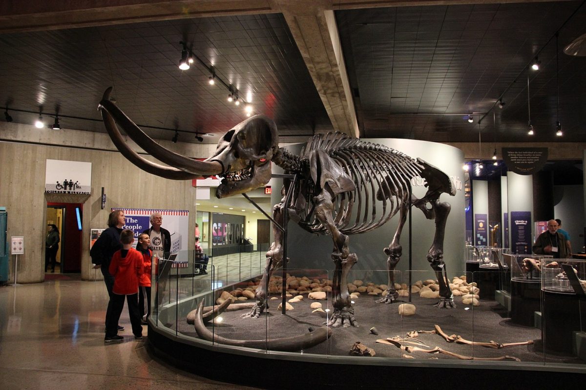 Top 10 Things To Do In Sandusky, Ohio | TouristSecrets
