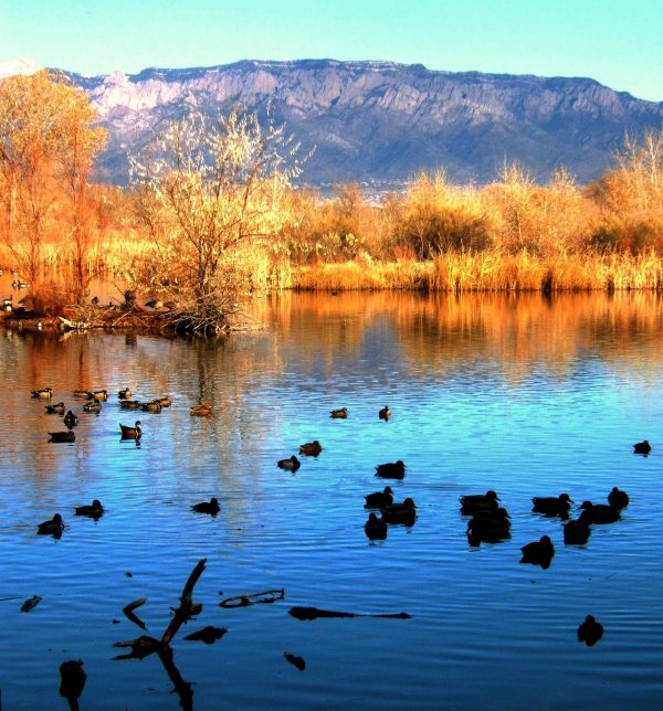 15 Things To Do In Albuquerque, New Mexico | TouristSecrets