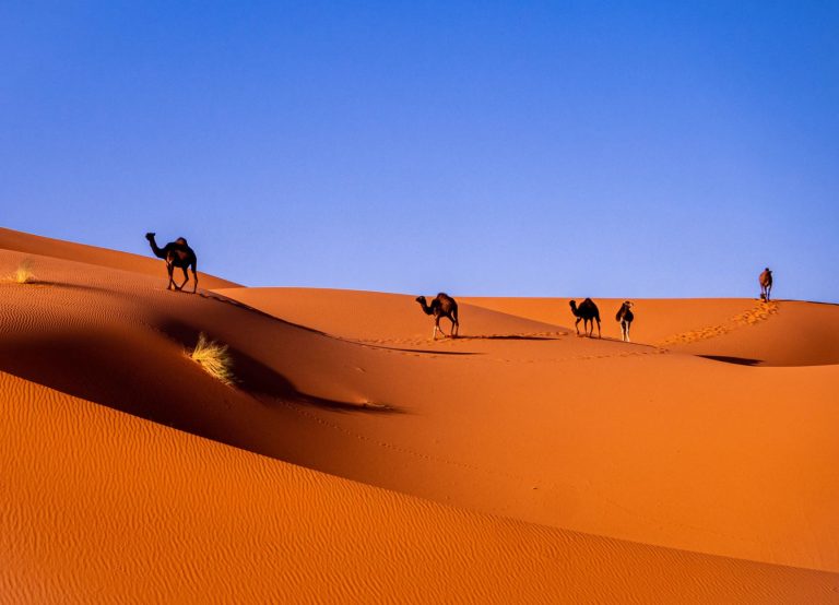 The 10 Most Beautiful Scenery And Places To Visit In Morocco