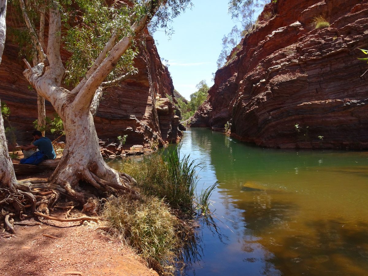 Your Complete Guide To Karijini National Park, Australia | TouristSecrets