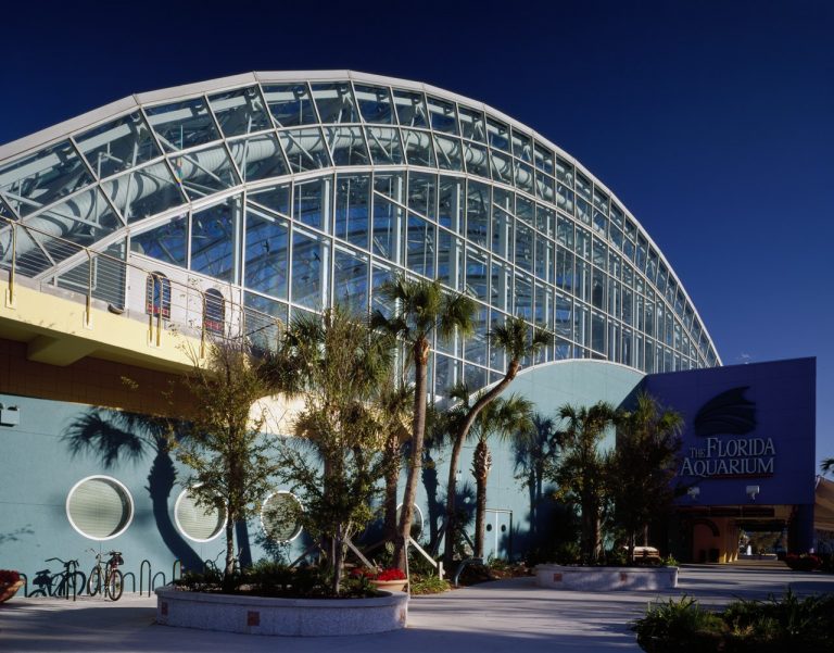 Your Complete Guide to Florida Aquarium | TouristSecrets