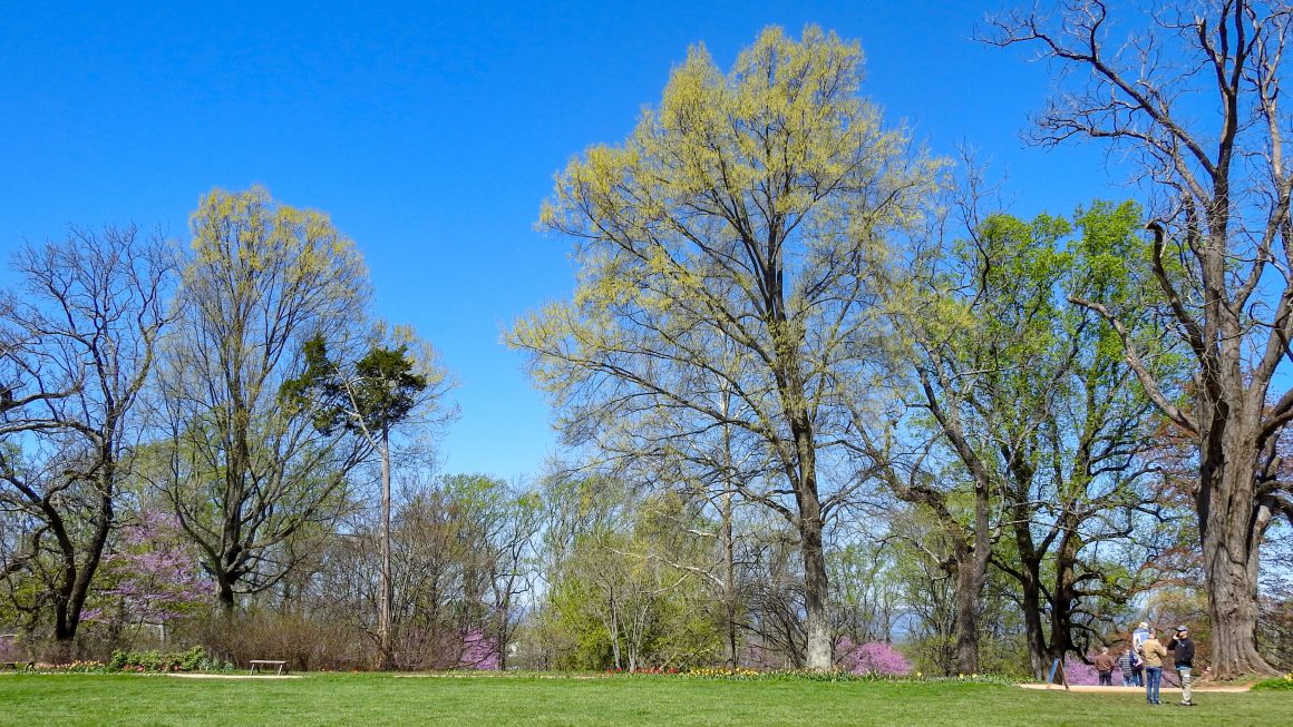 The 10 Best State Parks in Virginia | TouristSecrets