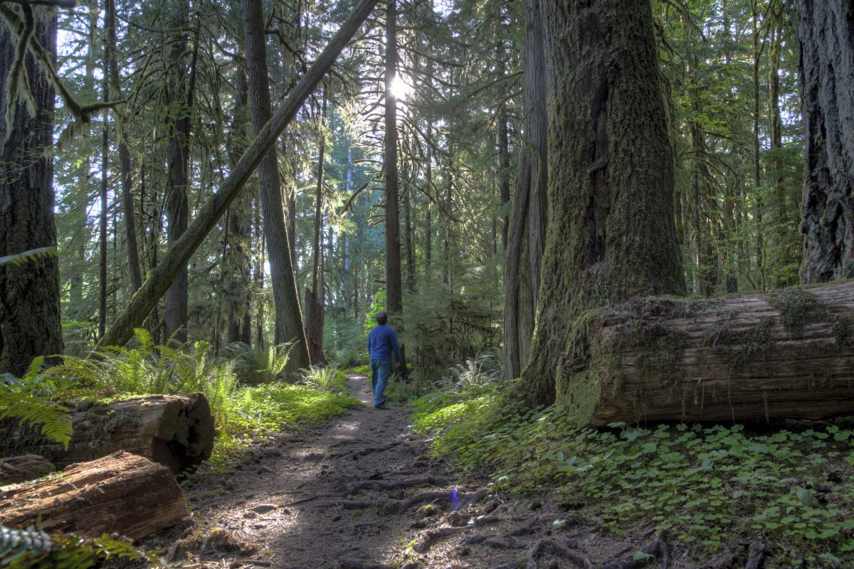 Explore the 11 Amazing National Scenic Trails in the United States ...