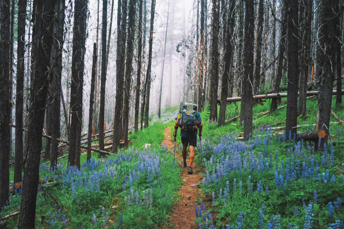 Explore the 11 Amazing National Scenic Trails in the United States ...