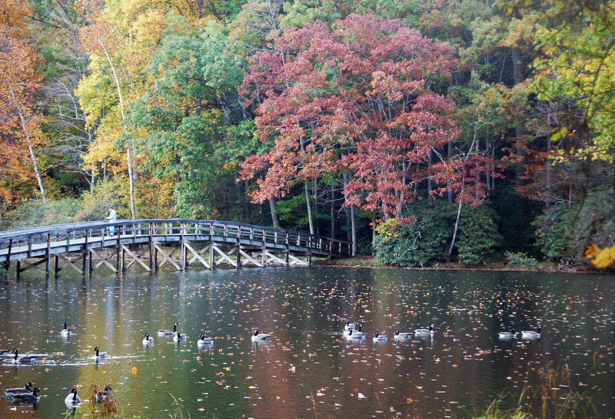The 10 Best State Parks in Virginia | TouristSecrets