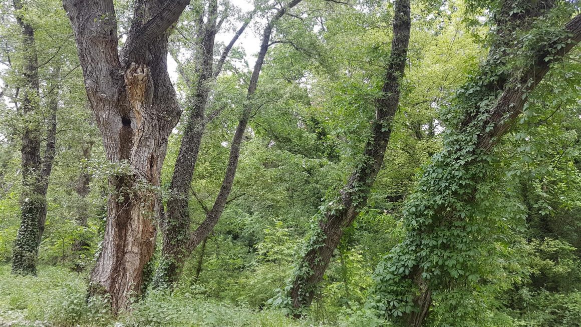 Get The Most Out Of Your Stay In Yambol, Bulgaria | TouristSecrets