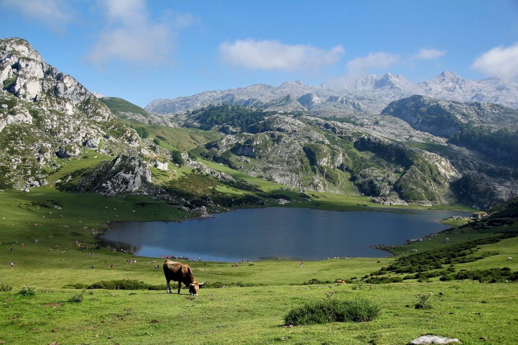 Asturias Spain: What To Expect & Best Things To Do | TouristSecrets