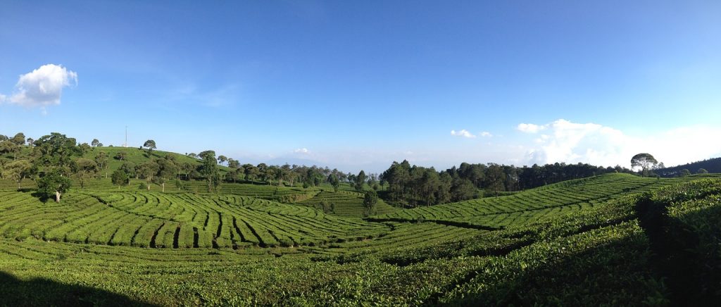 Ultimate Guide: 15 BEST Things to Do in Bandung Indonesia