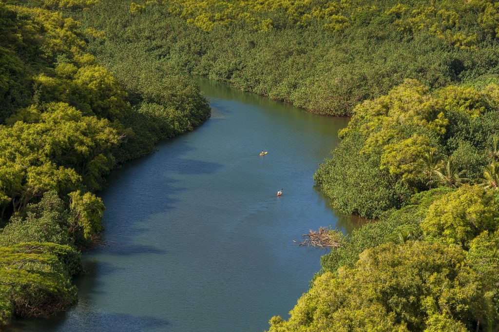 Maui vs. Kauai: Which Hawaiian Island is Best? | TouristSecrets