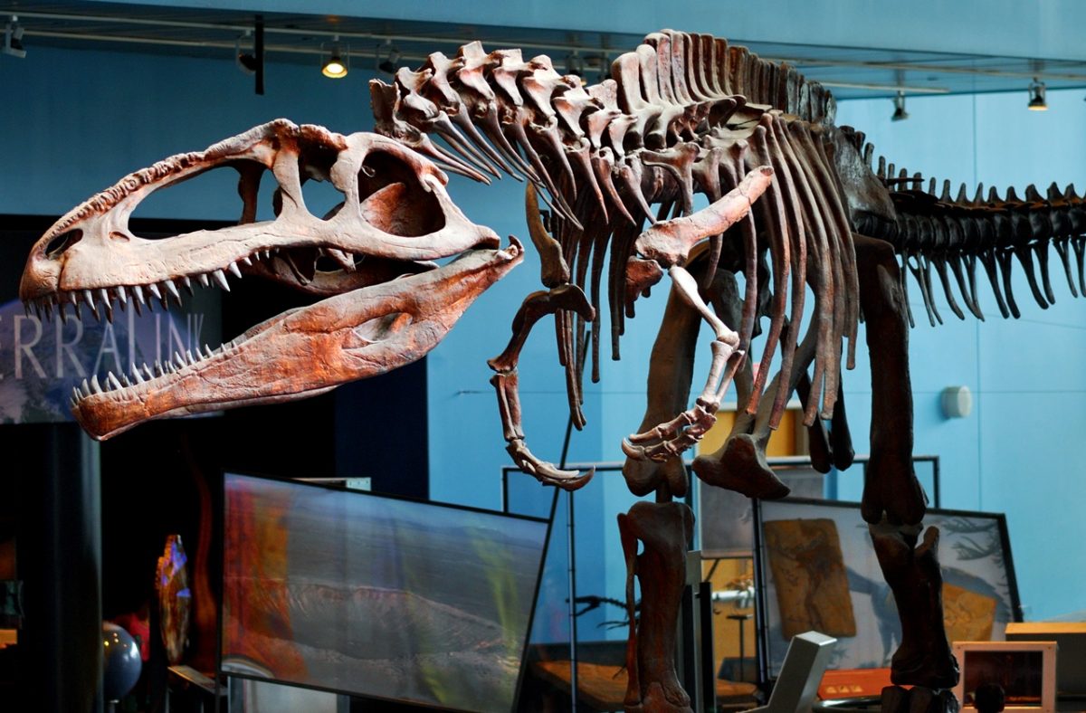 21 Exciting Things to do in Baltimore, Maryland | TouristSecrets