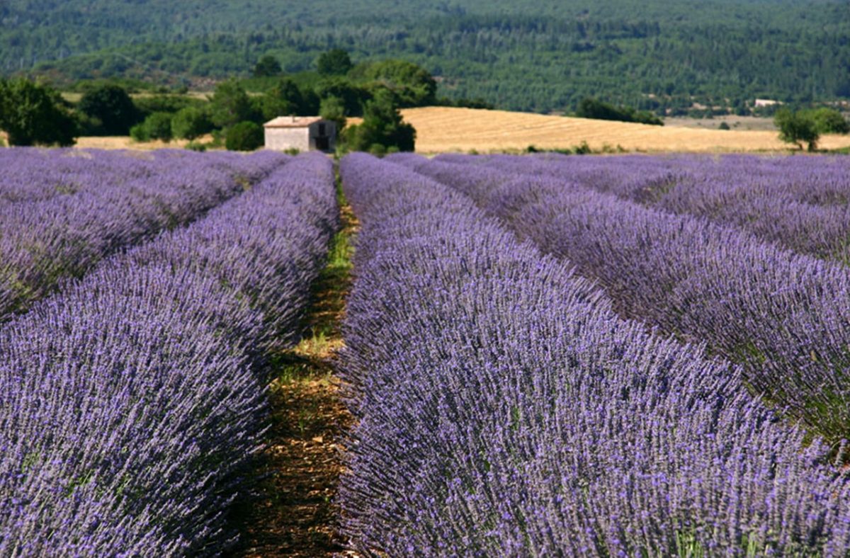 20 Must-Visit Places in the French Countryside | TouristSecrets
