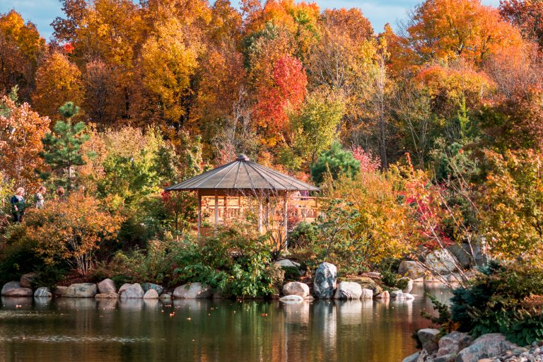 23 Best Places to See Peak Michigan Fall Colors | TouristSecrets