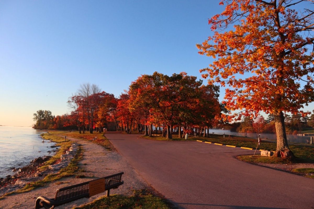 23 Best Places to See Peak Michigan Fall Colors | TouristSecrets