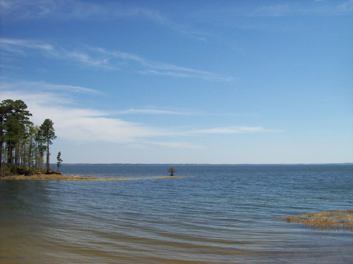 25 Best Lakes in Texas for Your Next Adventure | TouristSecrets