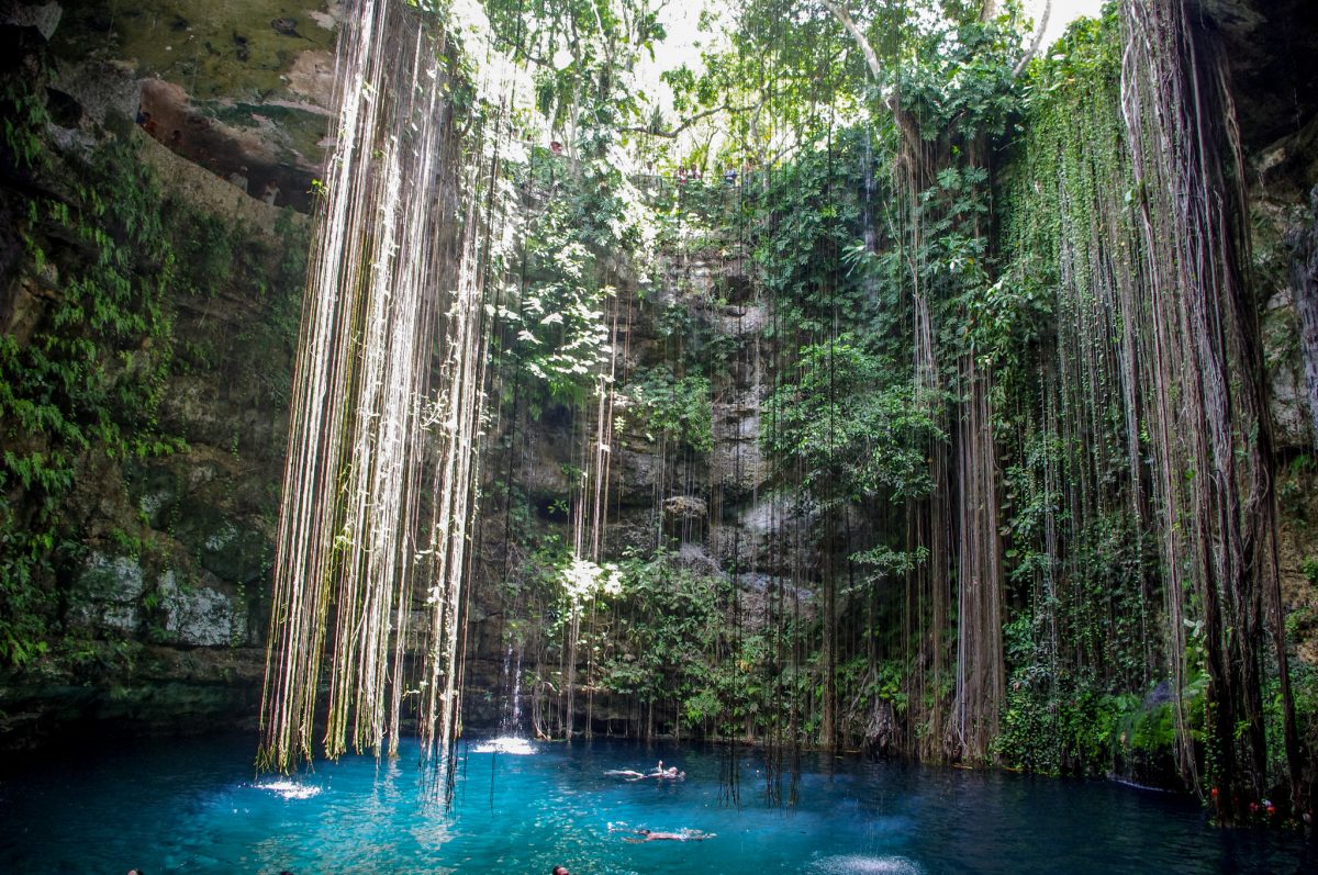 20 Best Cenotes in and near Tulum to Visit in 2022 | TouristSecrets