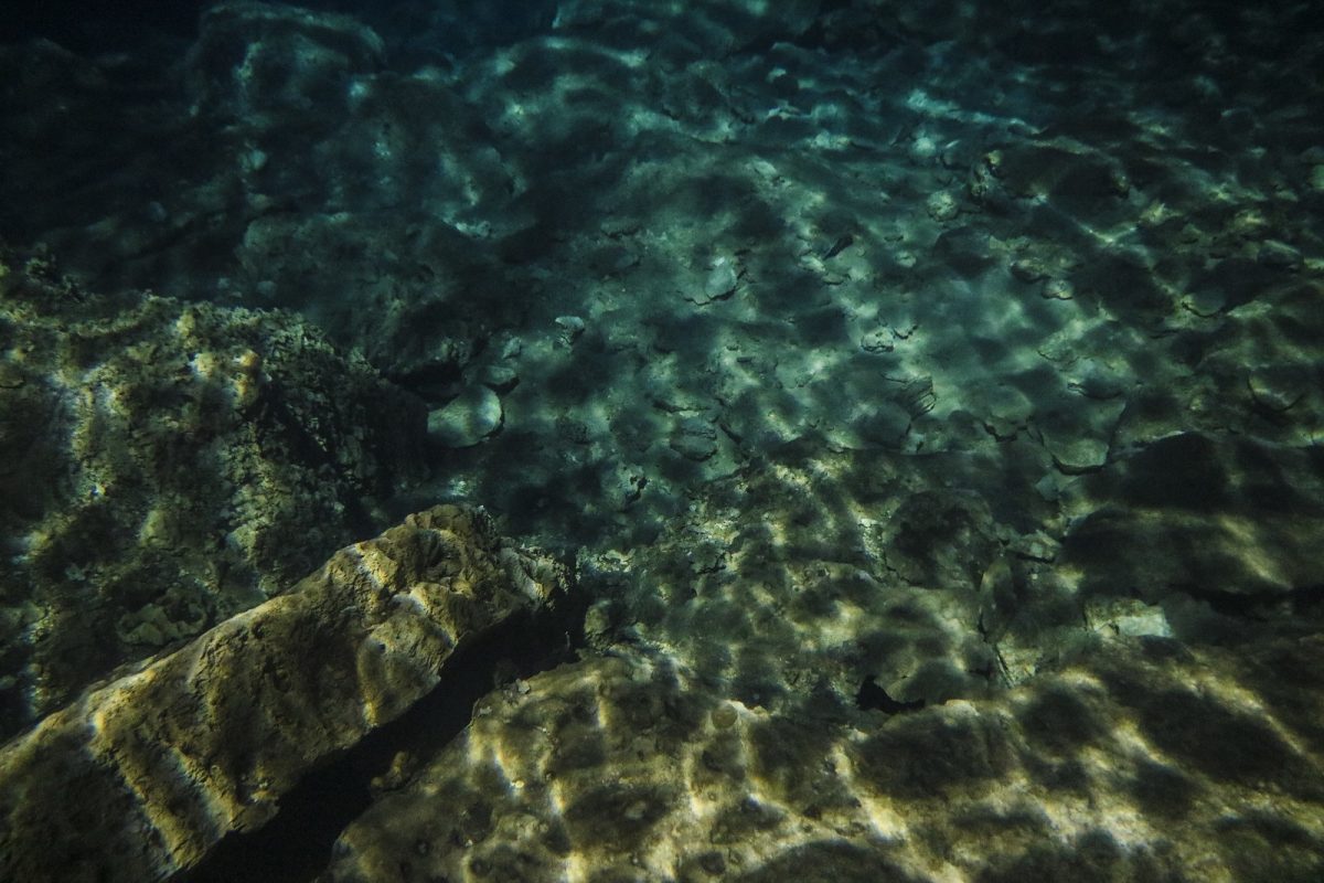 20 Best Cenotes in and near Tulum to Visit in 2022 | TouristSecrets