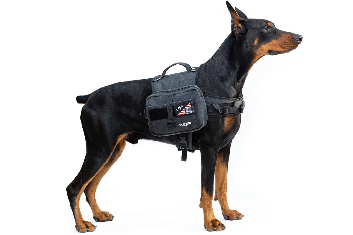 21 Best Dog Hiking Backpacks for Your Furry Companions | TouristSecrets