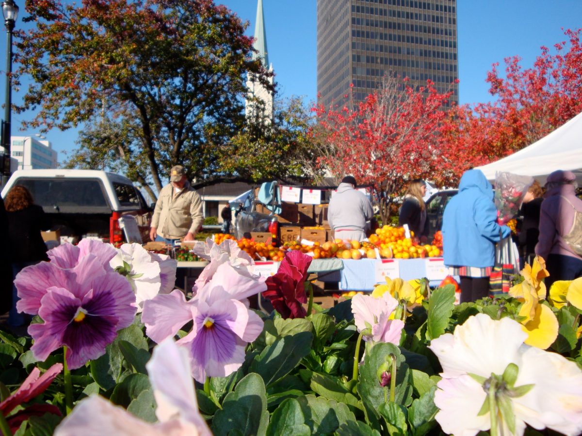 31 Fun Things to Do in Baton Rouge, LA | TouristSecrets