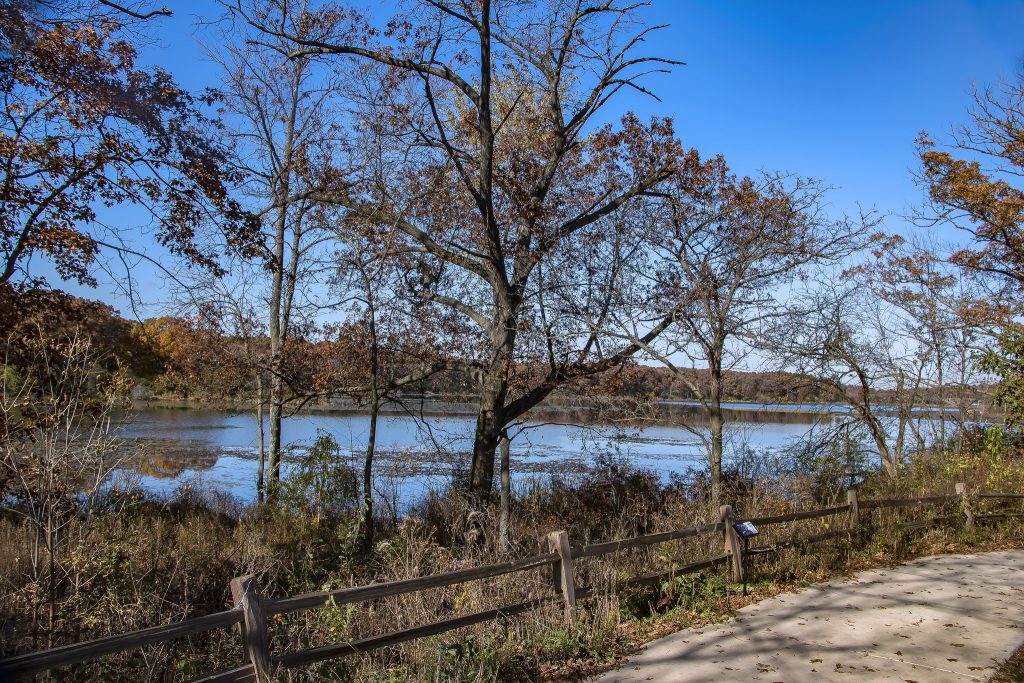 5 Best Mountain Biking Locations in Chicago, Illinois | TouristSecrets
