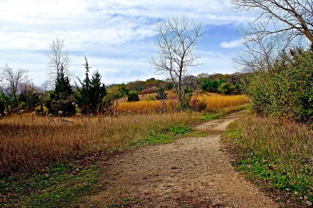 5 Best Mountain Biking Locations in Chicago, Illinois | TouristSecrets