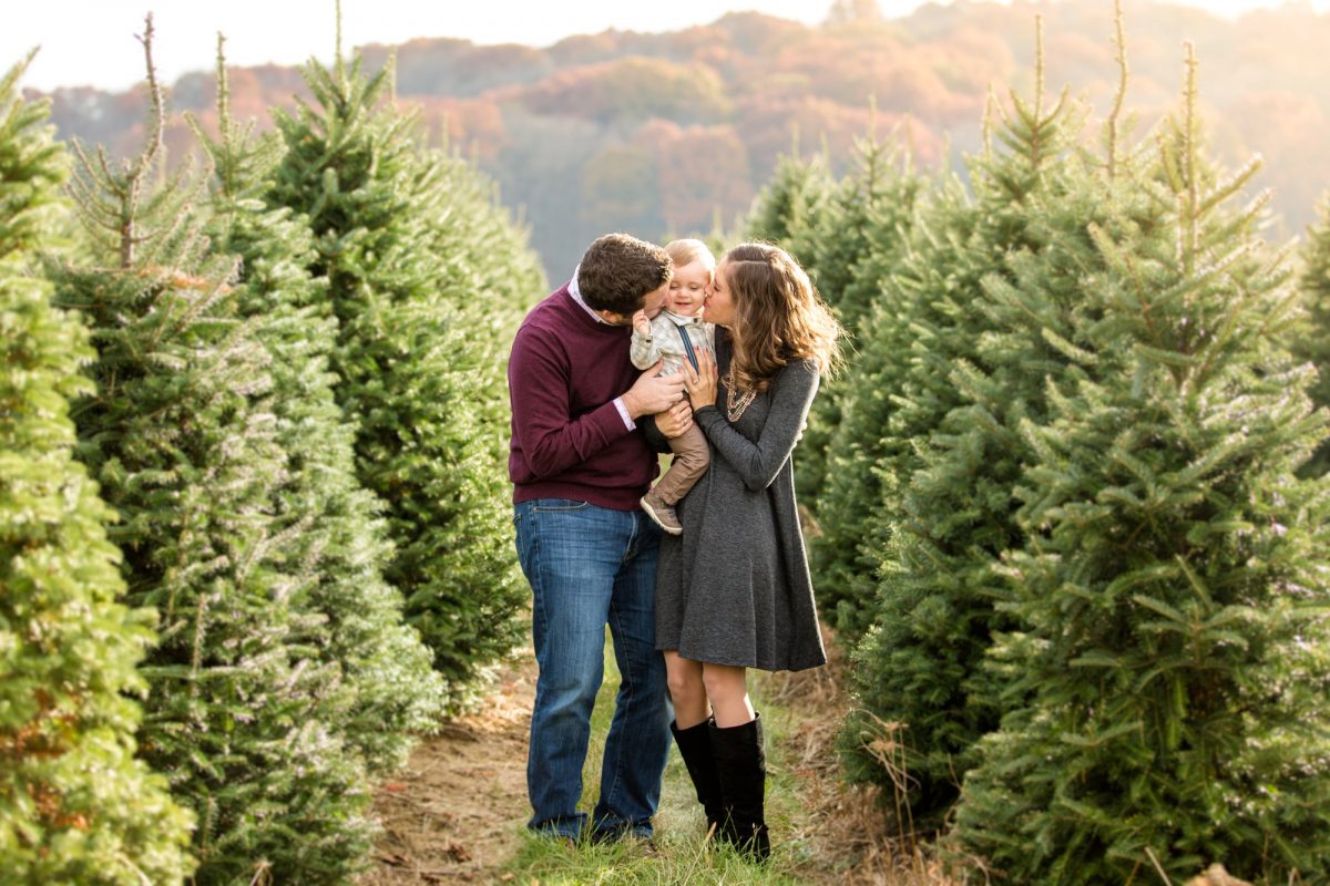 20 Best Christmas Tree Farm Near Me in the USA | TouristSecrets