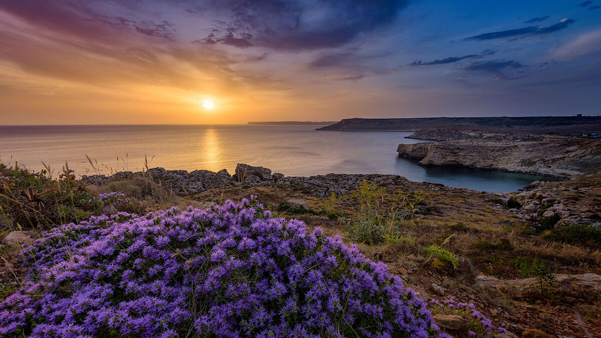 Majjistral Park | TouristSecrets