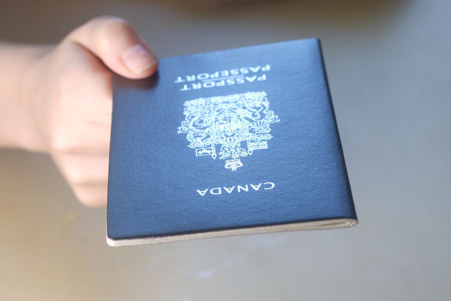 How To Replace A Lost Passport Quickly Touristsecrets