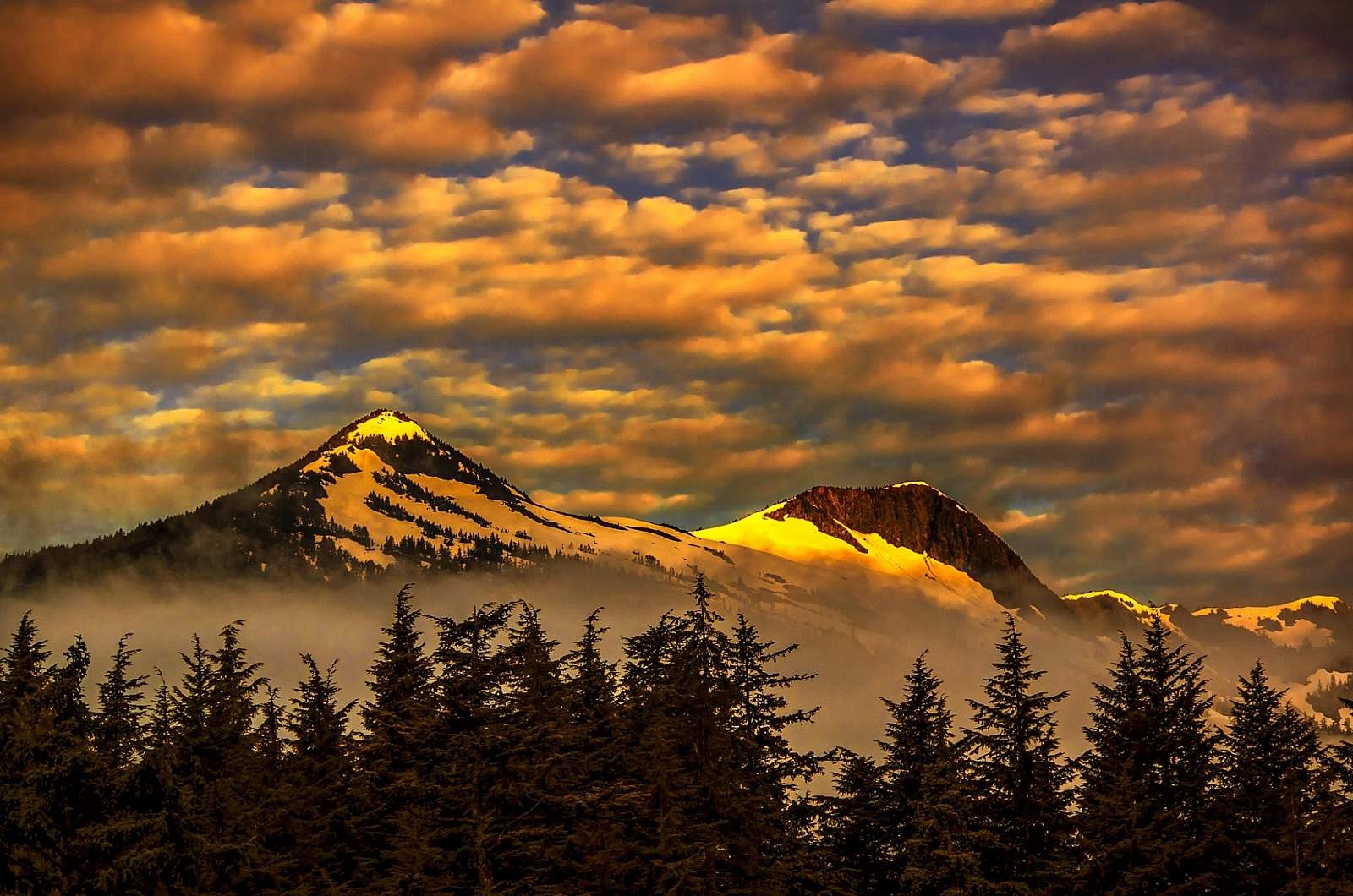 Hike The Breathtaking Deer Mountain Trail In Ketchikan | TouristSecrets