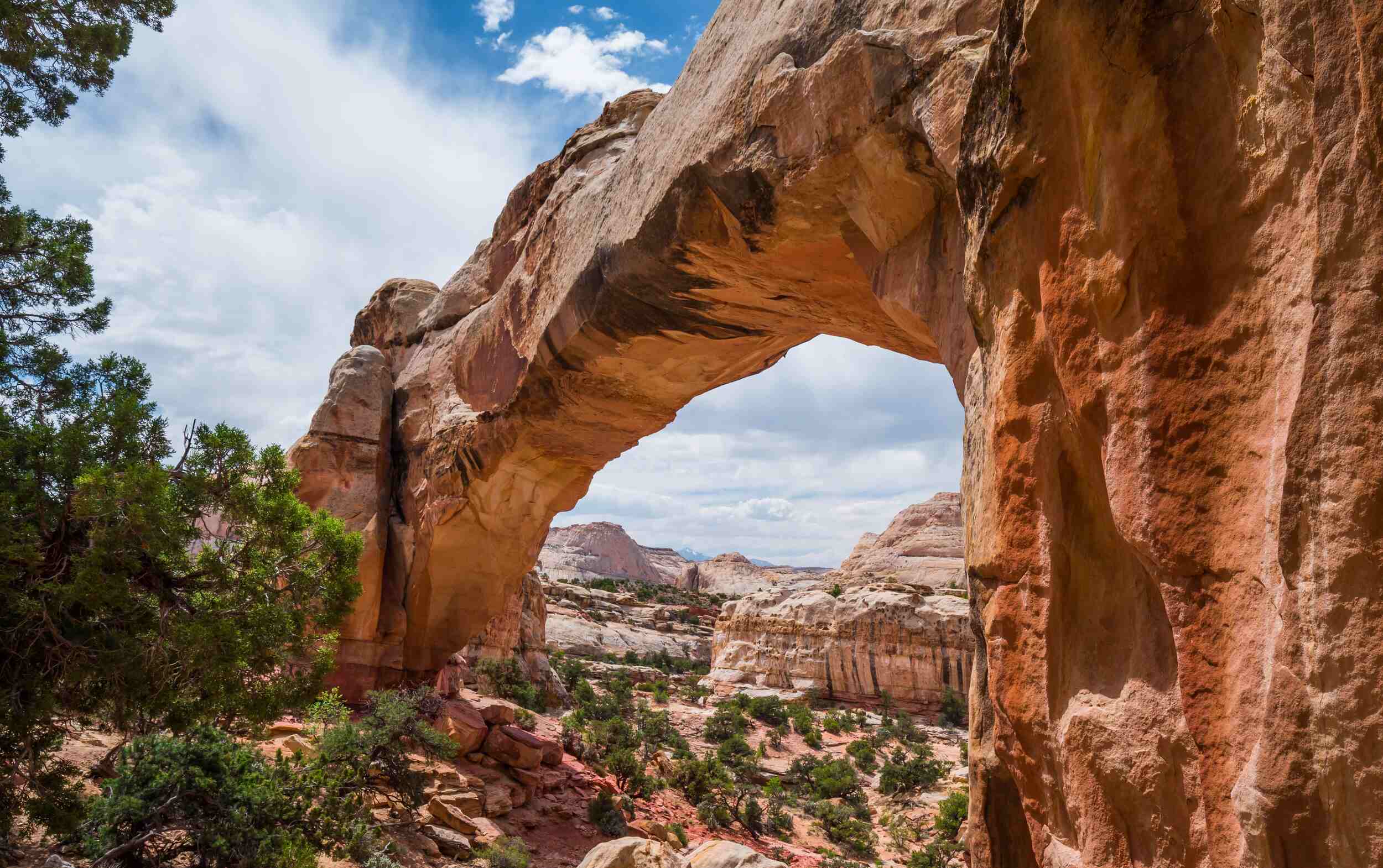 Natural Bridges National Monument - Utah's Stone Arches | TouristSecrets