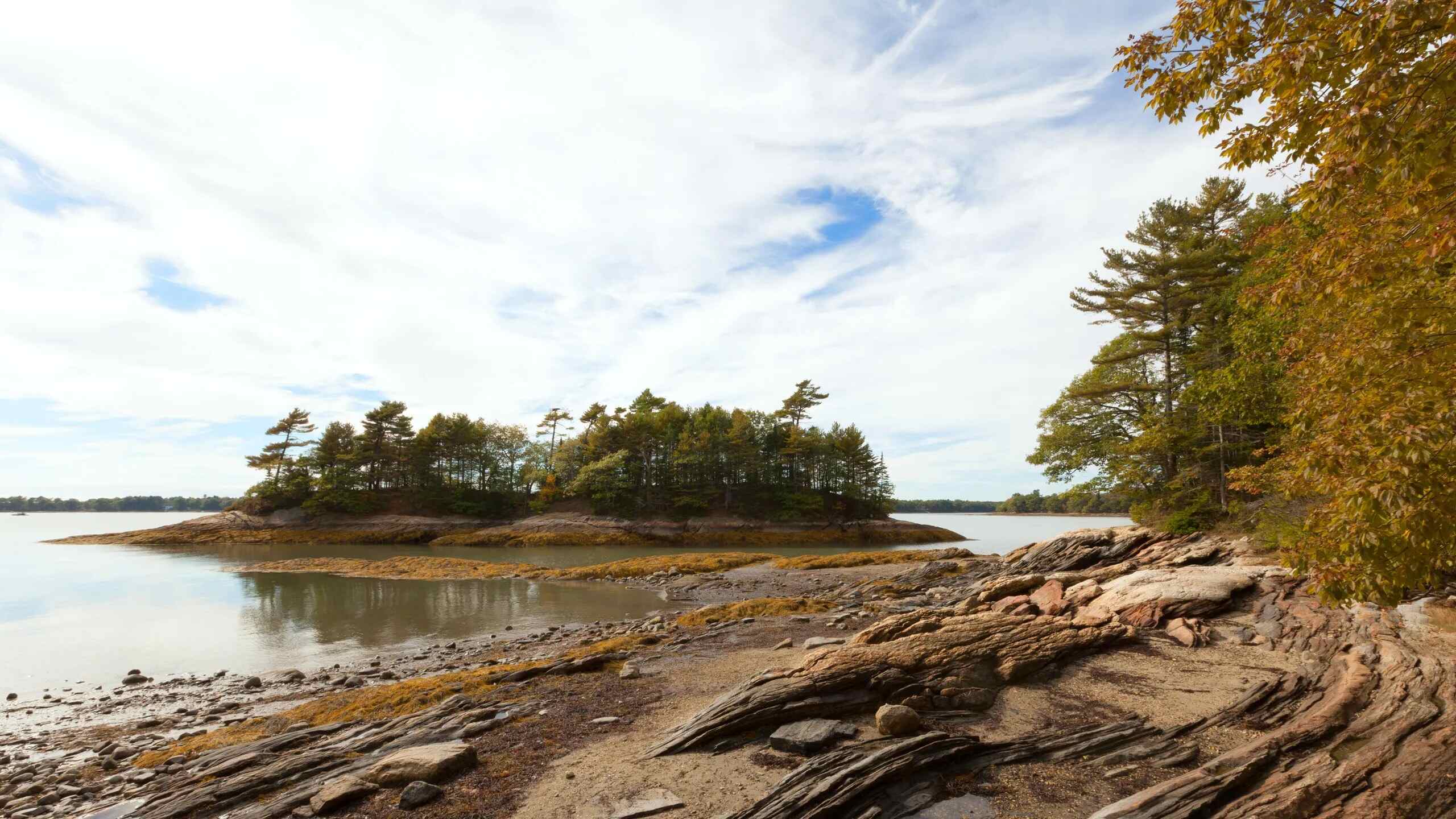 Osprey Adventures Await At Wolfe's Neck Woods | TouristSecrets