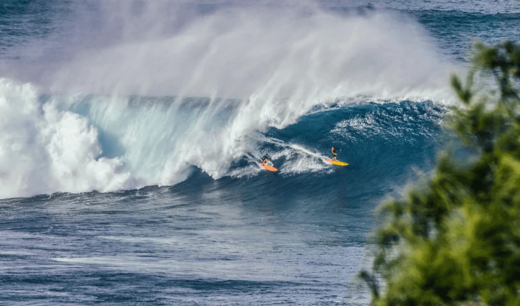 Riding The Waves In Haleiwa's North Shore Surf Scene | TouristSecrets