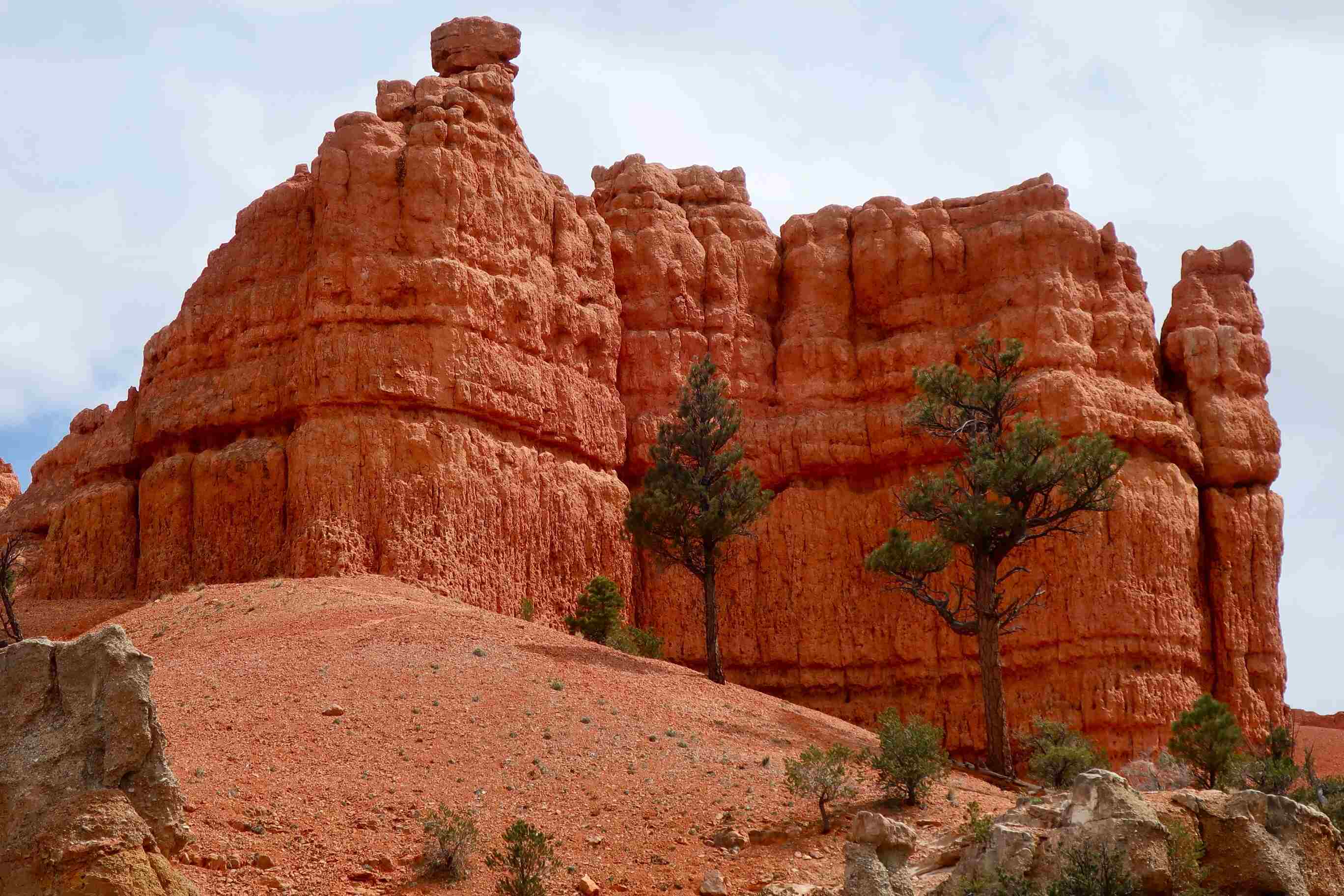 Unveil The Mystique Of Sycamore Canyon's Red Rock | TouristSecrets