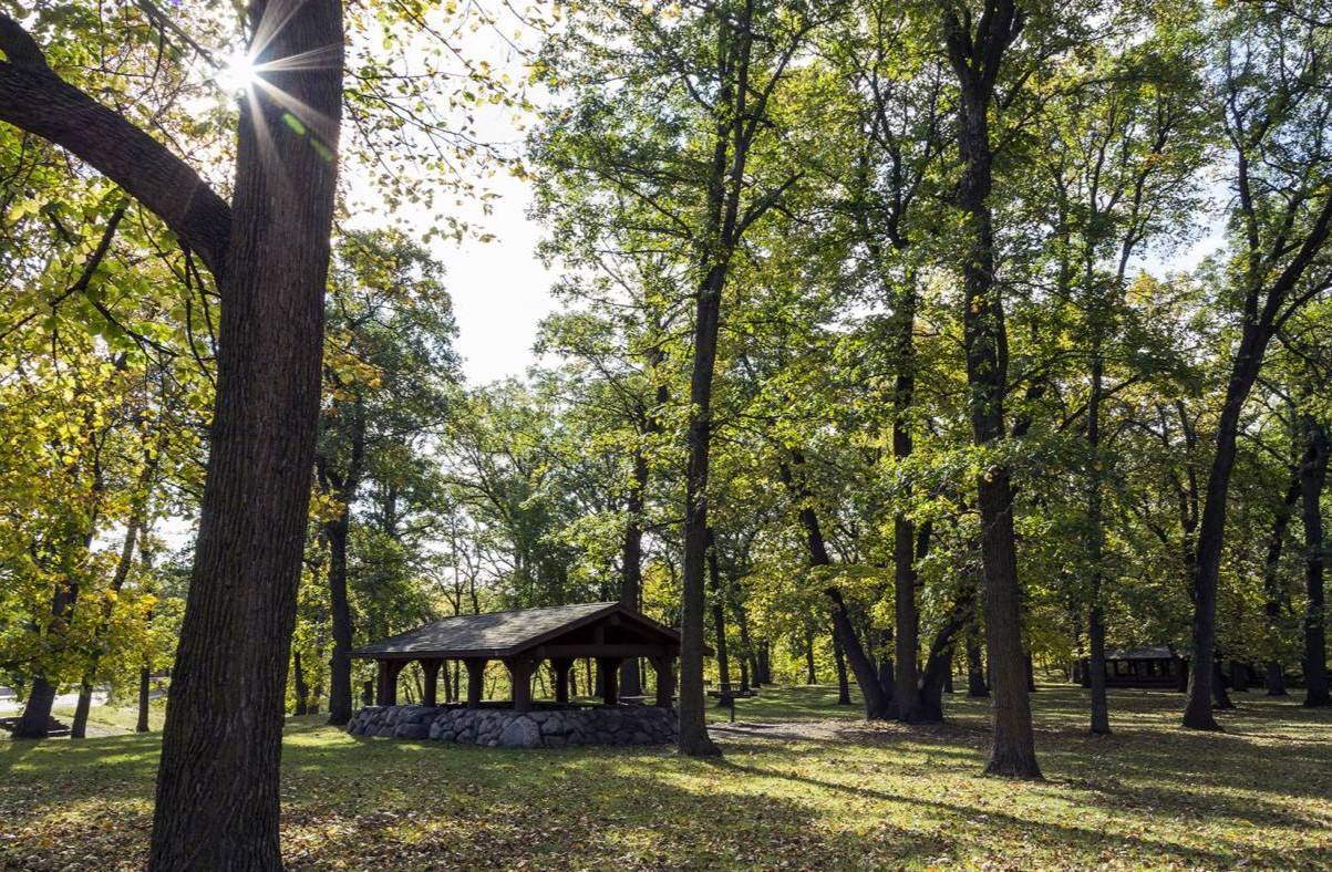 Wander The Enchanting Trails Of Turtle River State Park | TouristSecrets