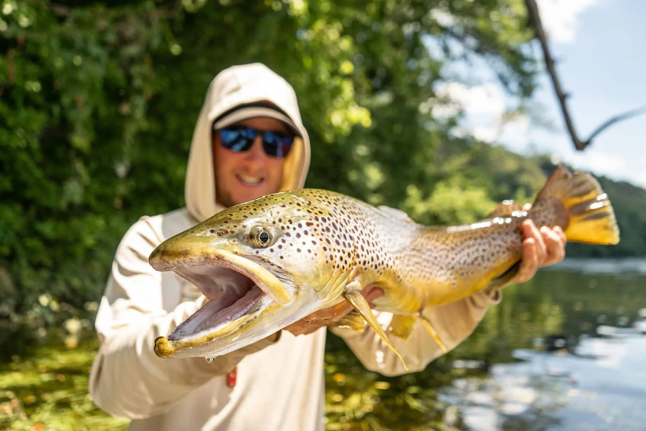Angler's Paradise: Bull Shoals-White River Trout Adventure | TouristSecrets