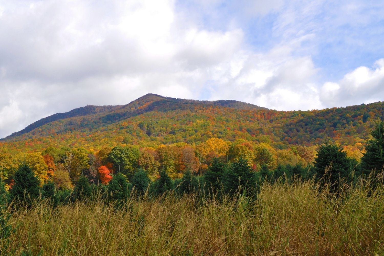 Breathtaking Vistas At Mount Jefferson State Natural Area | TouristSecrets