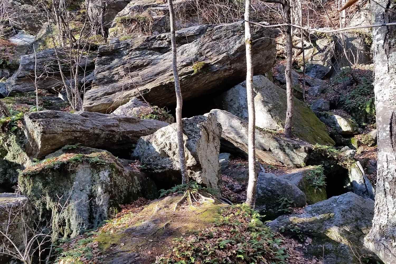 Gilsum's Enchanting Bear's Den Adventure | TouristSecrets