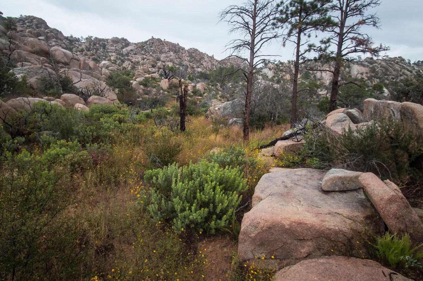 30 Must Visit Places In Prescott | TouristSecrets